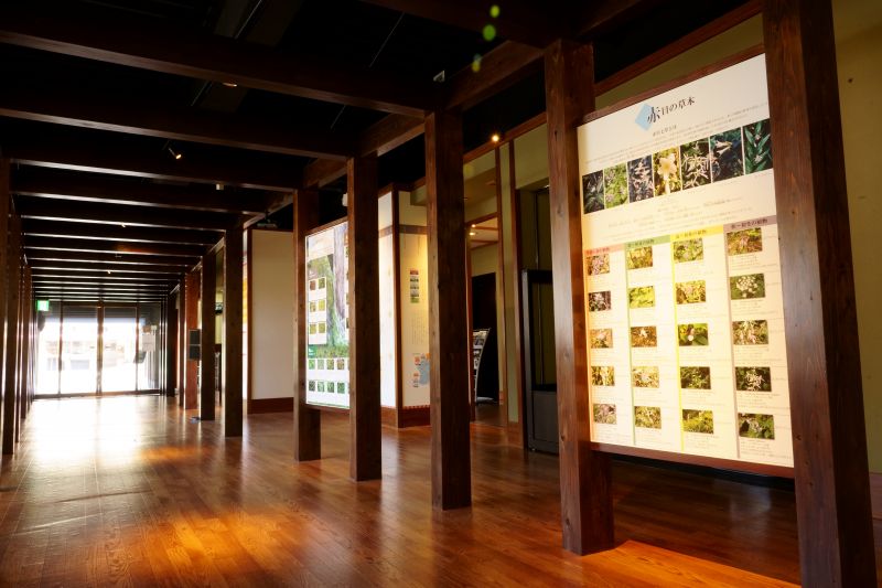 Akame Natural History Museum | Visit Mie in Japan, Once in Your Lifetime